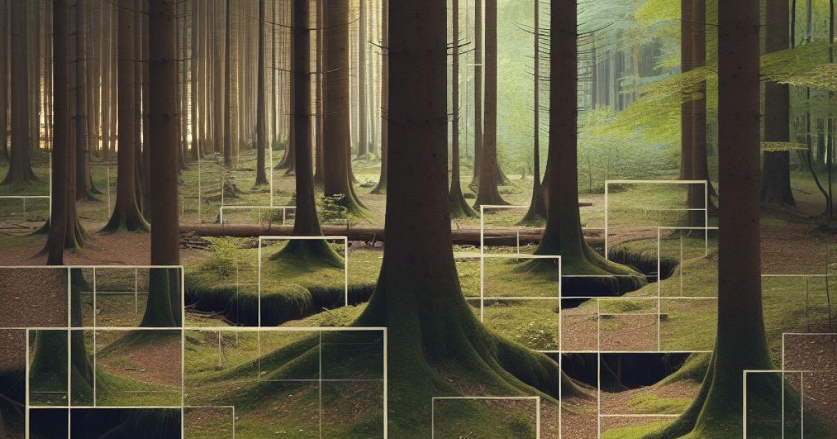 Alizée Ville recently defended her PhD thesis | International Forest Policy | University of Helsinki